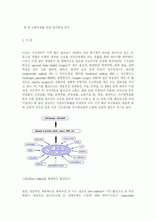 노화억제를 위한 항산화제 연구