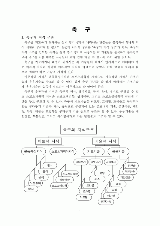 축구 학습지도안