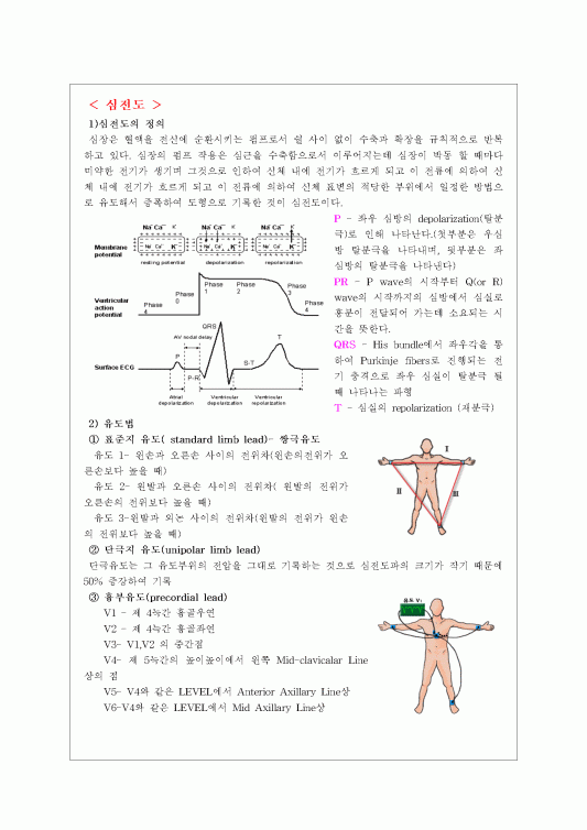 심전도의 모든것!!