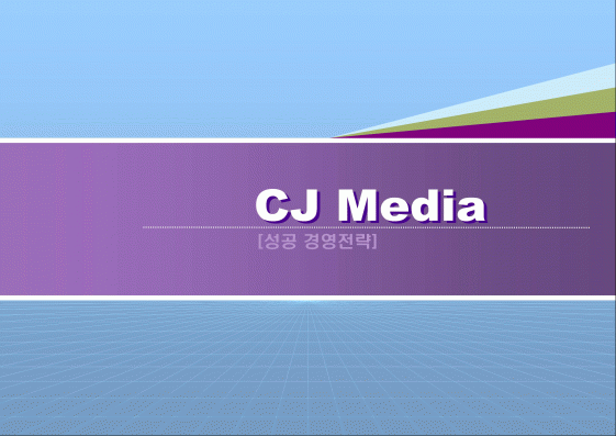 성공 경영전략-CJ Media 사례를 중심으로(매체경영 프로젝트)