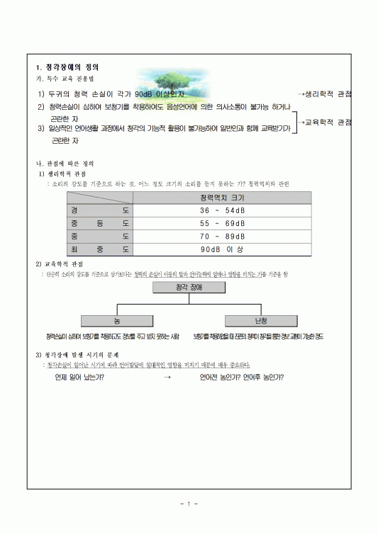 청각장애에 대한 이론적 개관 (정의, 원인, 특성, 교육)