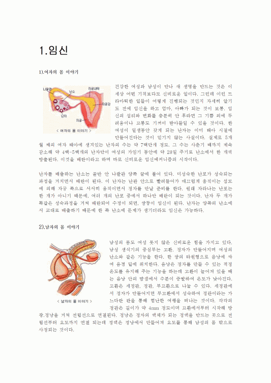 임신 (수정, 태내발달, 모체변화, 영향을 주는 태내환경)