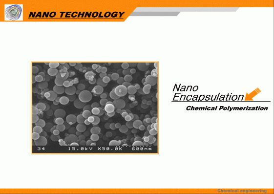 나노 테크놀로지-나노캡술을 이용한 기술 응용과 발전 전망 및 각국의 사례