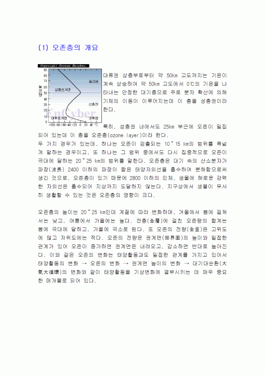 오존층 파괴에 따른 영향 및 대책