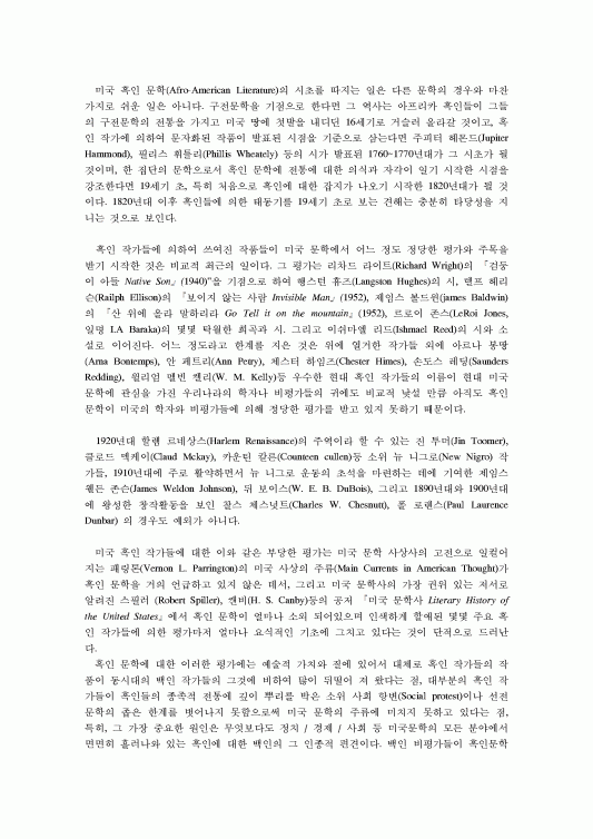 20세기의 흑인문학