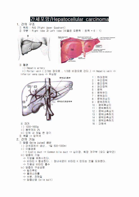 간세포암 Hepatocellular carcinoma