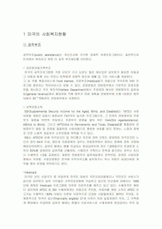 미국의 사회복지 정책과 아동학대