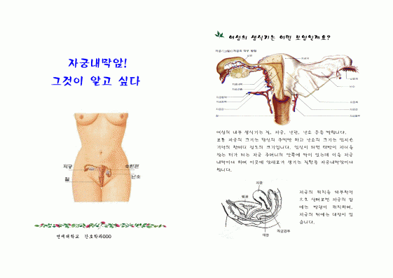 자궁내막암 교육자료