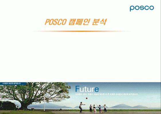 포스코 (POSCO) 캠페인 분석