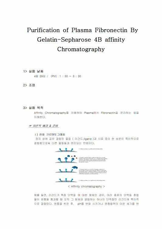 실험보고서( Purification of Plasma Fibronectin By Gelatin-Sepharose 4B affinity Chromatography)