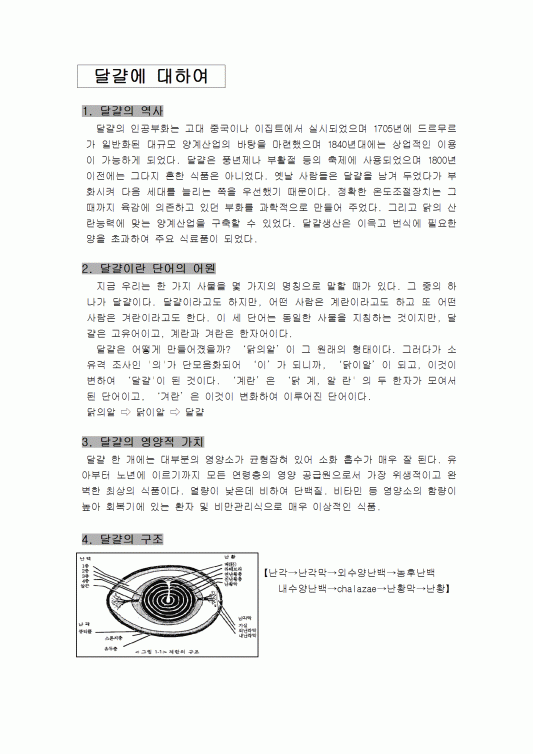 달걀에 대한 특성과 구조및 보관법