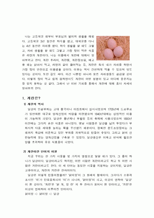 계란-달걀의 구조와 특성및 성분 영양