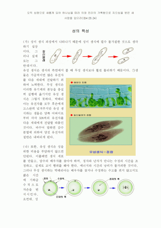 성의 특성