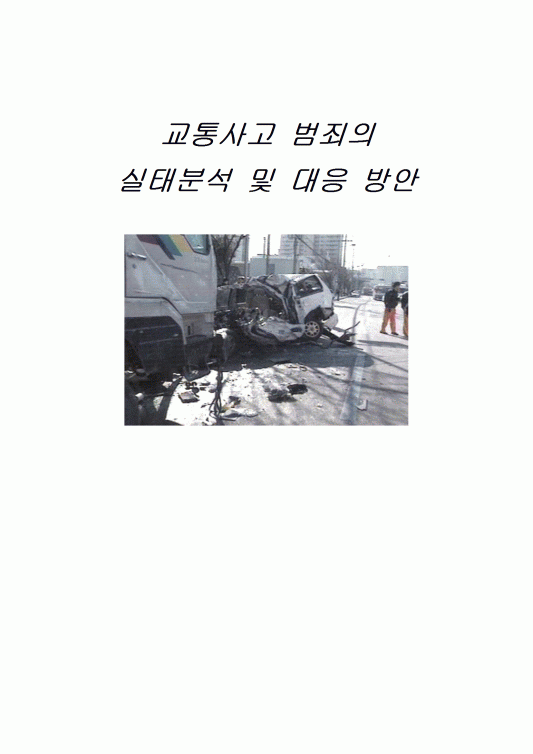 교통사고범죄의 실태분석과 대응방안