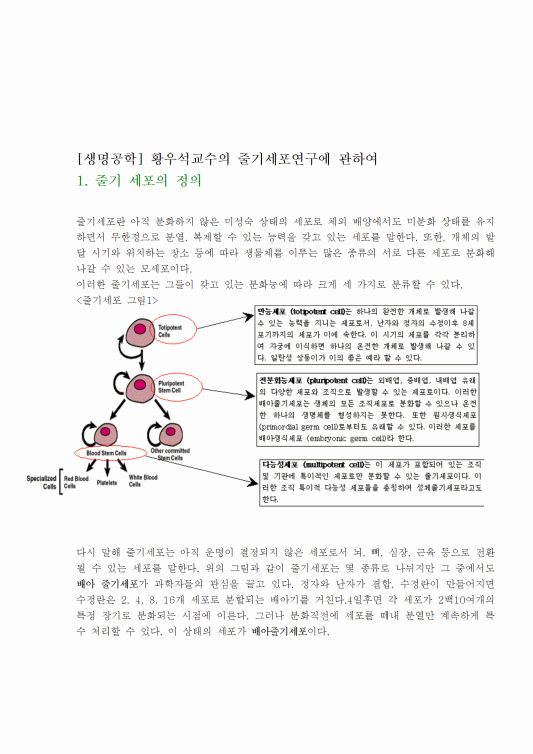 [생명공학] 황우석교수의 줄기세포연구 레포트