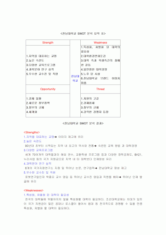 전남대학교 swot분석