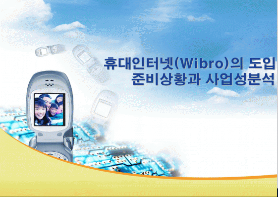 휴대인터넷(Wibro) 도입 준비사항과 사업성 분석