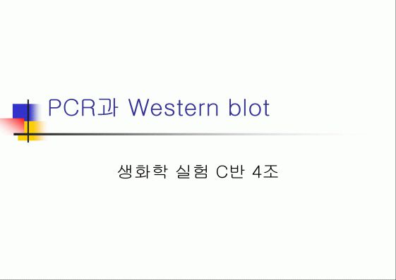 PCR (RT-PCR, Real time PCR)과 Western blot