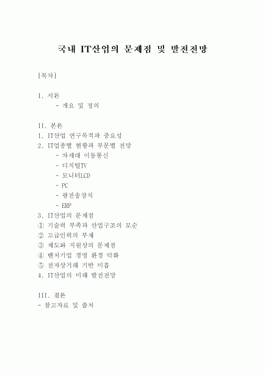 국내 IT산업의 문제점 및 발전전망