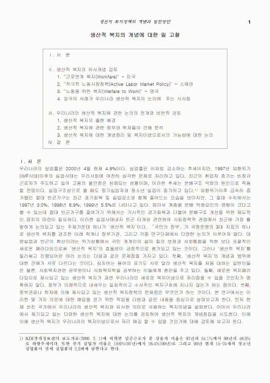 [사회복지] 생산적 복지의 개념에 대한 일 고찰