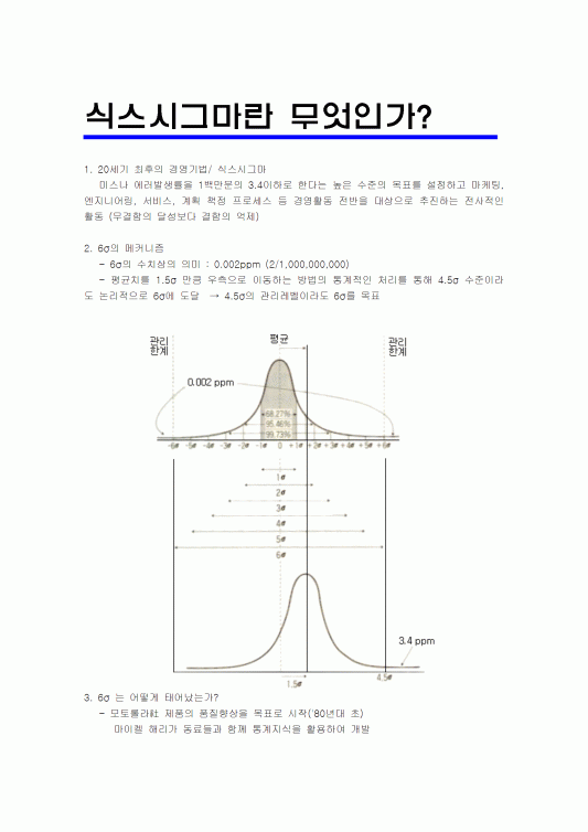 식스 시스마의 개념 및 특징