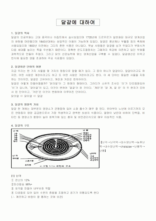 달걀, 계란