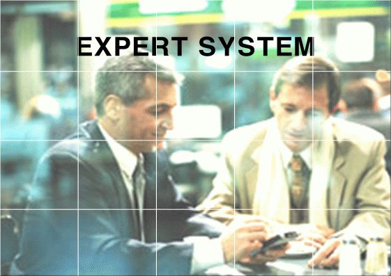 전문가 시스템 (EXPERT SYSTEM)