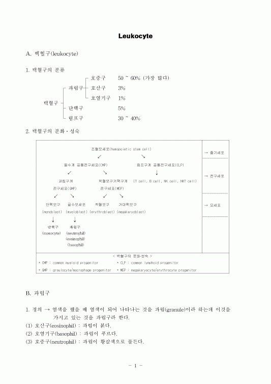 백혈구(leukocyte)에 대해