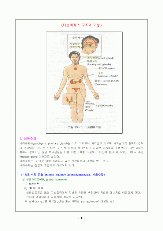 내분비계의 구조와 기능 내분비계 진단 검사