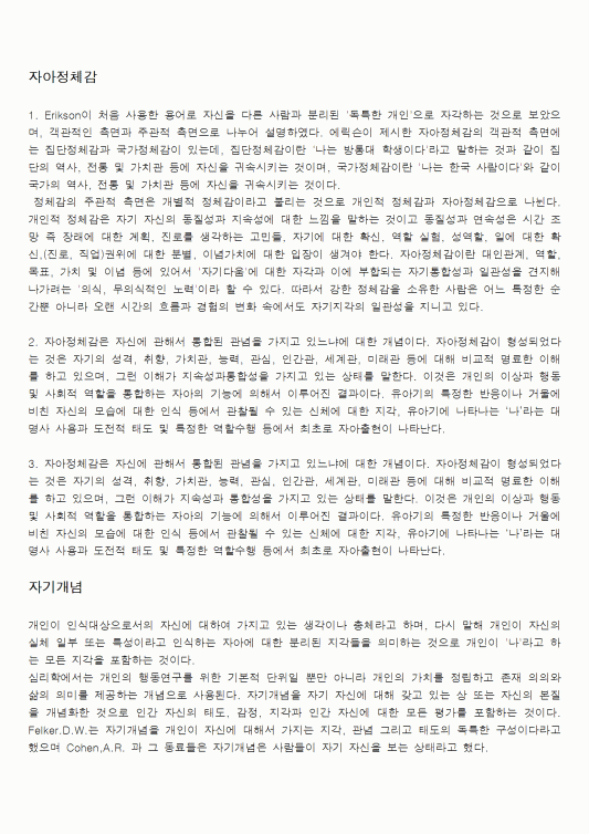 자아개념 자아효능감 자아정체감 자기개념의 개념정리