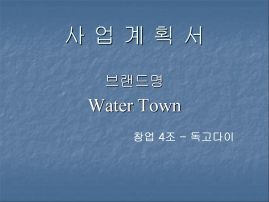 사업계획서- 온천 창업사업계획서(브랜드명 : Water Town )-1페이지