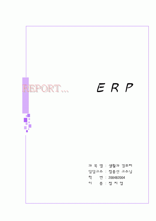 통합정보시스템 ERP 도입