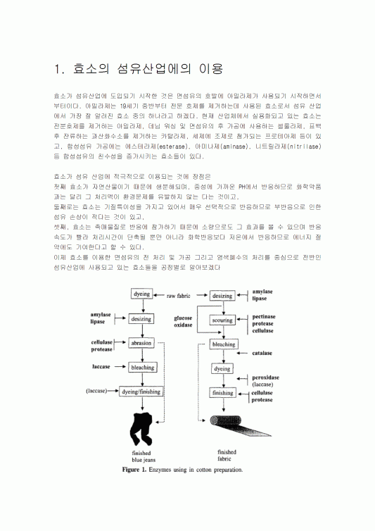 효소의 섬유산업에의 이용