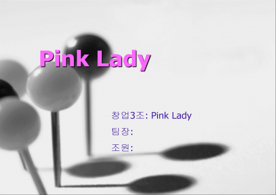 여성 의류 전문 쇼핑몰 사업계획서 [ Pink Lady ] (온*오프라인매장)