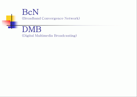 BCN과 DMB