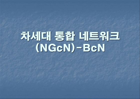 BcN(Broadband_Convergence_Network)