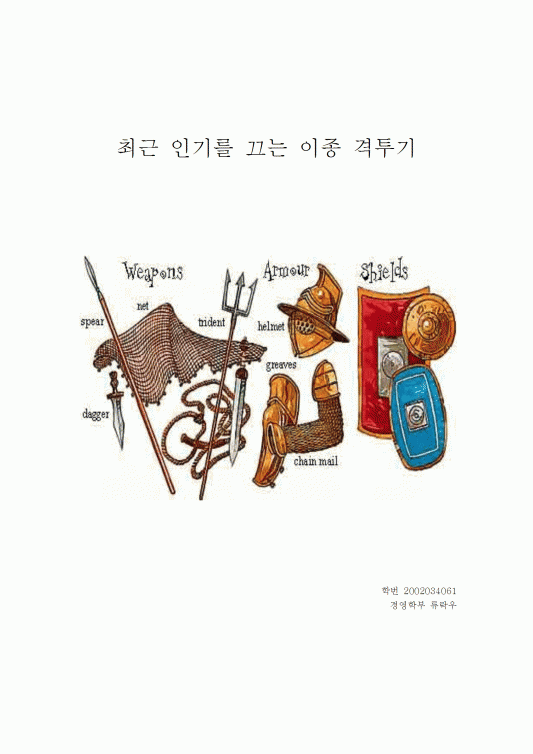 최근 인기를 끄는 이종격투기