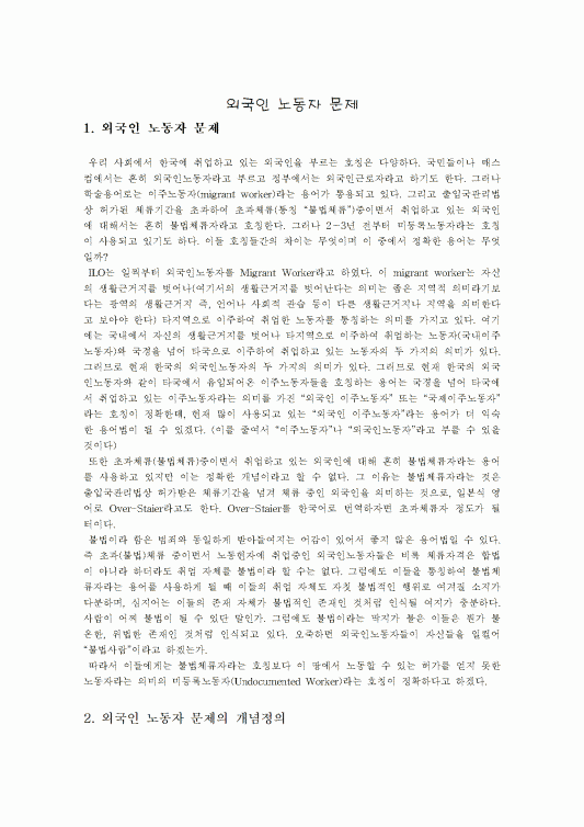 외국인 노동자 문제 이주노동자 불법체류자 미등록노동자 산업기술연수생 사회문제 고용허가제