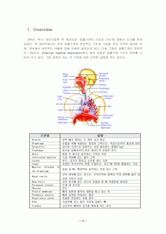 [간호학]호흡기계의 구조와 기능