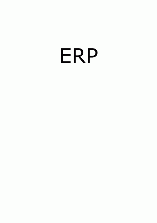 ERP(Enterprise Resource Planning) 시스템