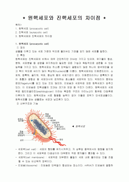 원핵세포와 진핵세포의 차이점