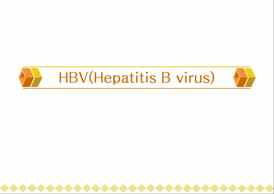 B형 간염바이러스(HBV)란 무엇인가?