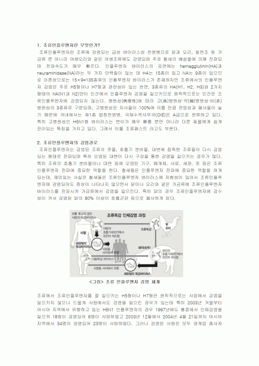 조류인플루엔자에 대하여 (정의,발생경로,발생현황,문제점및대책)