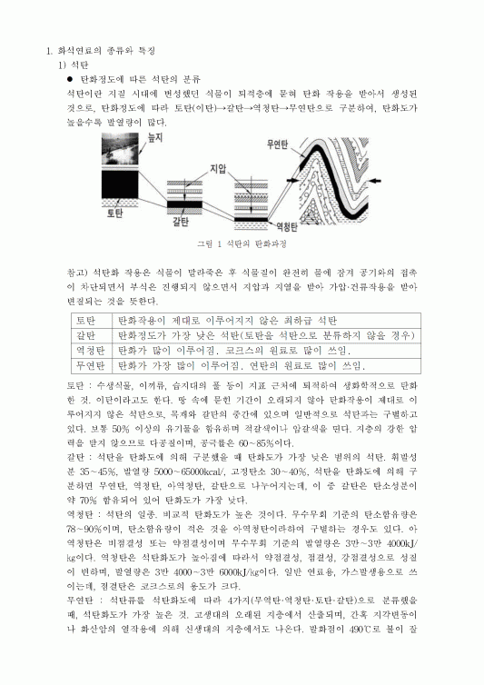 환경공학 즉면의 화석연료