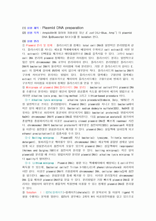 Plasmid DNA preparation(플라스미드 정제)(예비)