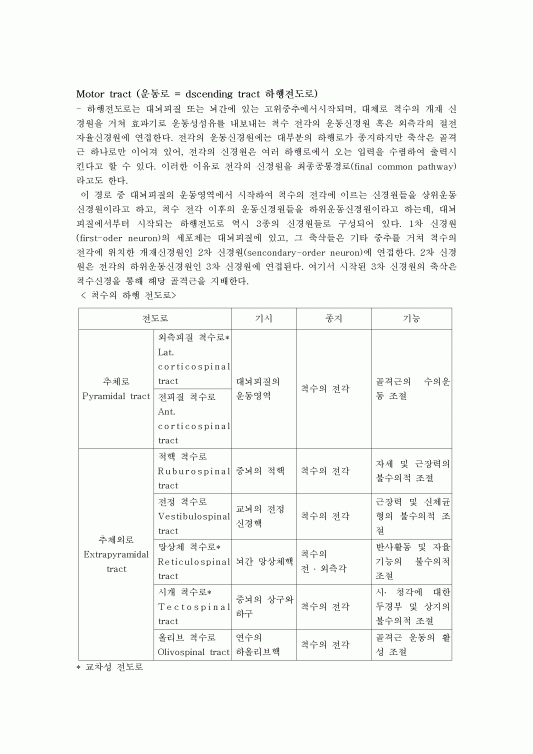 Motor tract (운동로 = dscending tract 하행전도로)