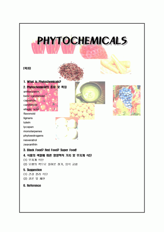 파이토케미컬 ( Phytochemical) 연구