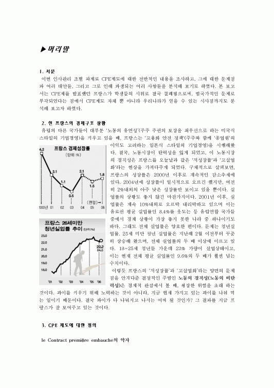 CPE제도의 전반적인 분석과 문제점에 관한 대안 연구