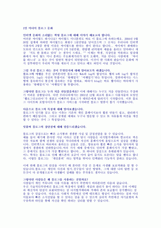 1인 미디어 블로그 문화/싸이월드를 하는 이유