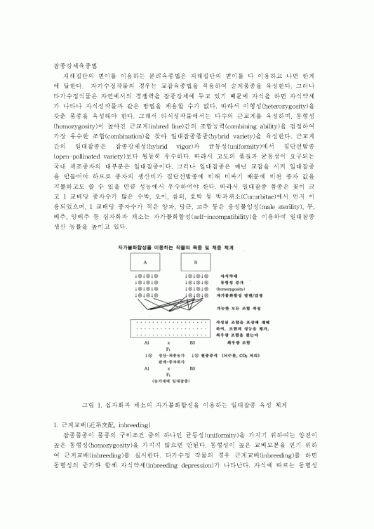 잡종강세육종법